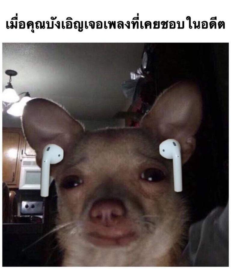 25+ รวมมีมกวนๆ ฮาๆ ตลกๆ อัพเดททุกสถานการณ์!